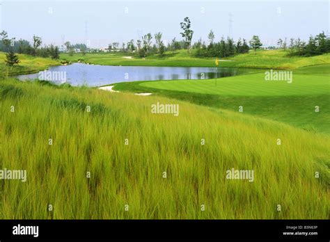 Image result for Golf Course View