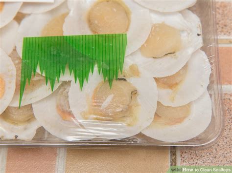 Image result for How to Clean Scallops