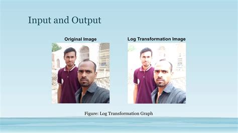 Image result for Example of Log Transformation