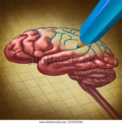 Image result for Reprogramming the Brain