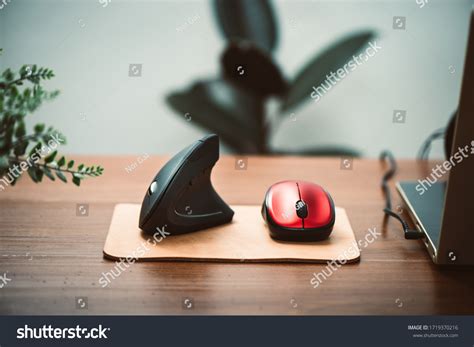 Image result for Normal Computer Mouse