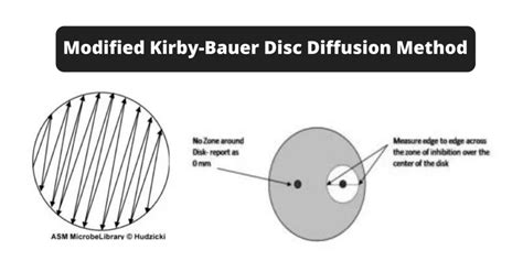 Image result for Disk Diffusion Method
