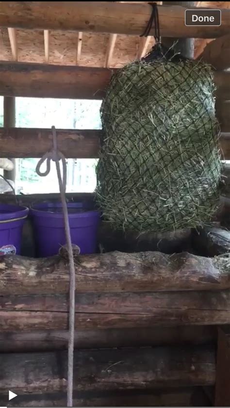 Image result for Small Image Net