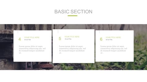 Image result for PowerPoint Plug