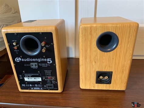 Image result for Audioengine A5 Back