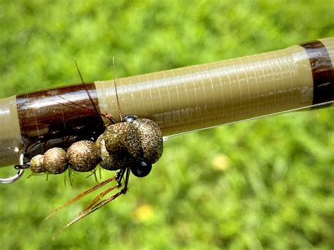 Image result for Floating Nymph Fly Pattern