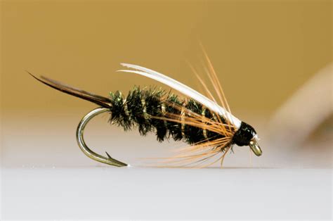 Image result for Green Drake Nymph Patterns
