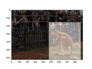 Image result for Tensorflow Keras Object Detection Example