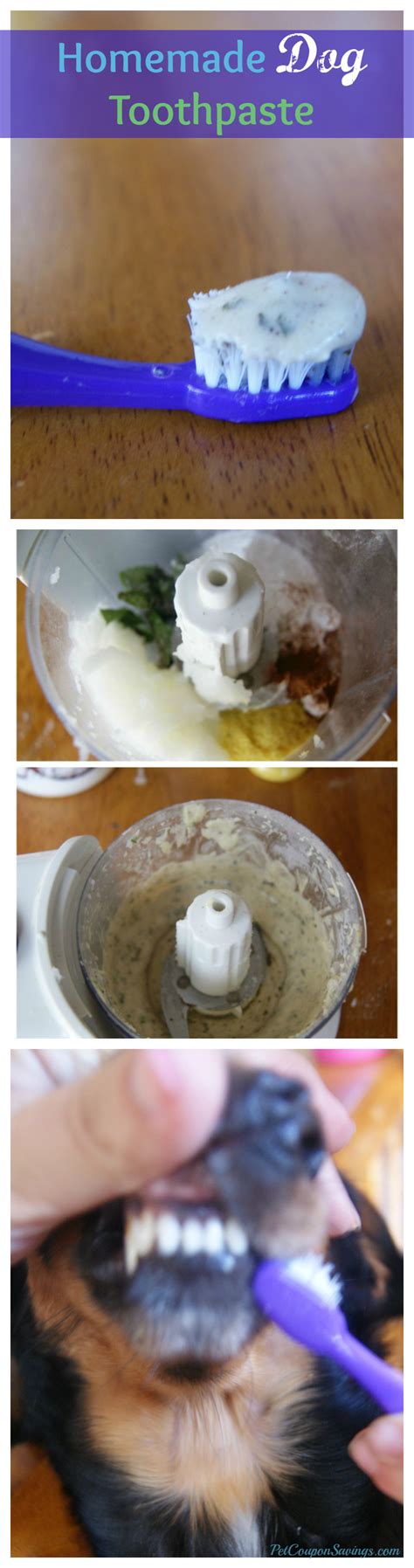 Image result for Homemade Toothpaste for Dogs