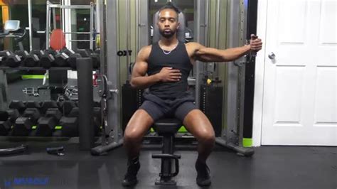 Image result for Bench Chest Fly