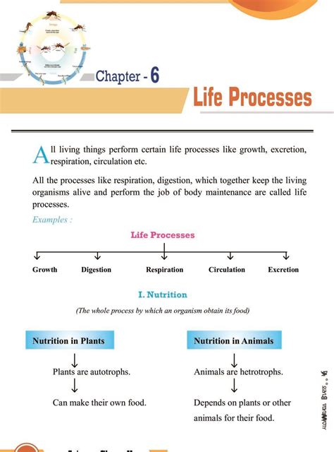 Image result for Science MCQ Class 10 Life Proces