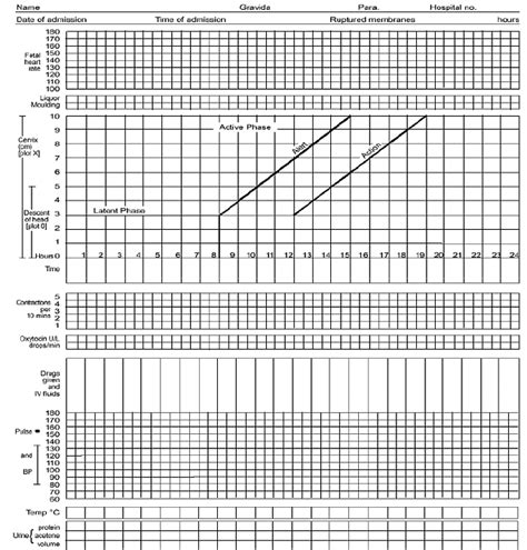 Image result for Partogram Design