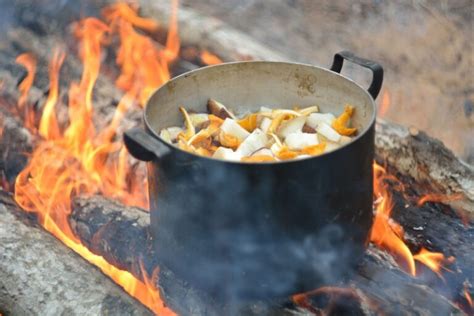 Image result for Camp Fire Structure Cooking
