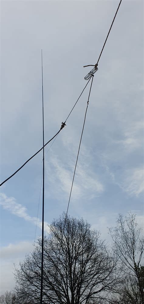 Image result for Delta Loop vs Vertical