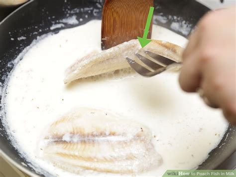 Image result for Poaching Fish Using Vinegar