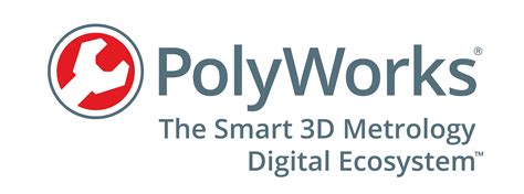 Image result for PolyWorks Software CMM