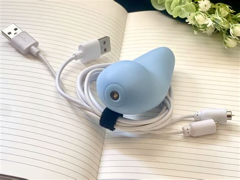 Image result for Plus One Bullet Massager How To