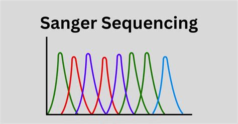 Image result for Sanger Method of Sequencing