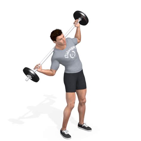 Image result for Trunk Bender Exercise