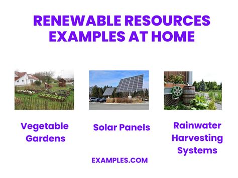 Image result for Renewable resource Examples