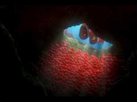 Image result for Freeform Intro Finding Nemo