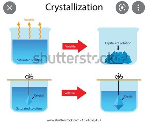 Image result for Crystallization Definition in Cooking