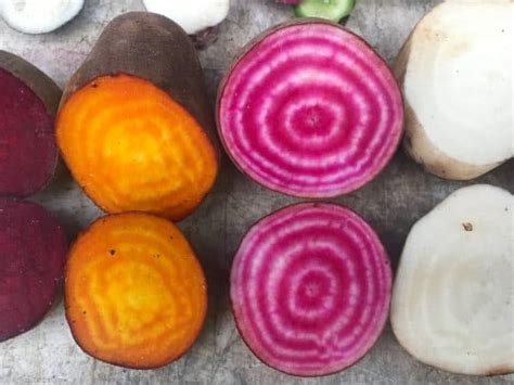 Image result for Beet Varieties for Containers