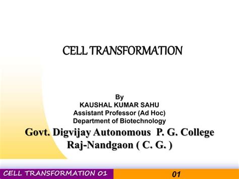 Image result for Cell Transformation