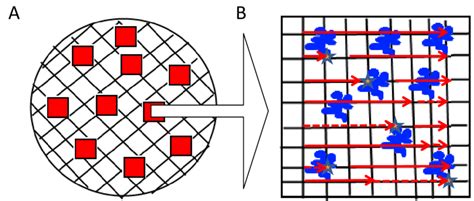 Image result for Systematic Random Grid Sampling