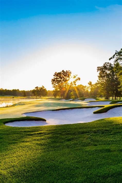 Image result for Golf Course Background Images