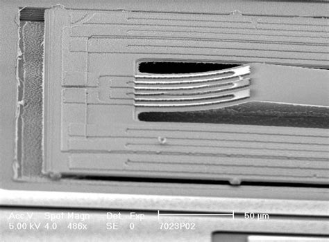 Image result for Comment Reprogrammer L Amidal