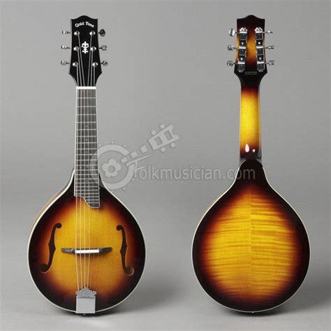 Image result for 6 String Mandolin