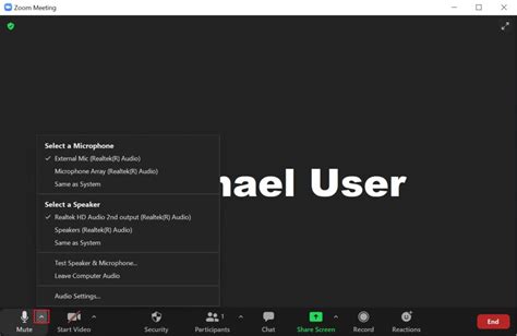 Image result for Zoom Meeting Control Buttons