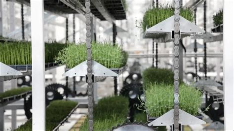 Image result for Spring Farming Machine