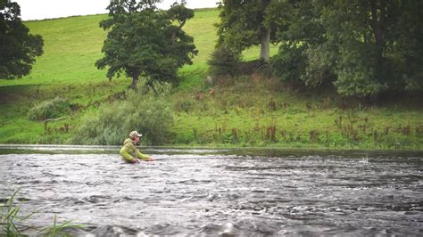 Image result for Vision Hybrid Fly Line