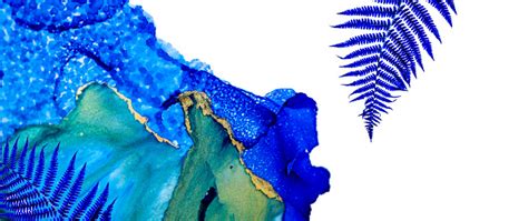 Image result for Creativity Transparent