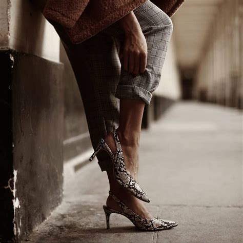 Image result for Python Foot