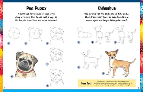Image result for How to Draw Dogs Tutorial