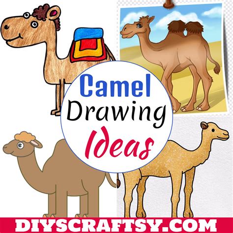 Image result for Camel Drawing Tutorial