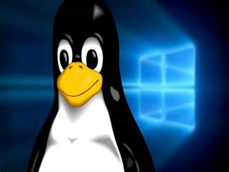 Image result for Gambar Microsoft Windows Linux Ubuntu