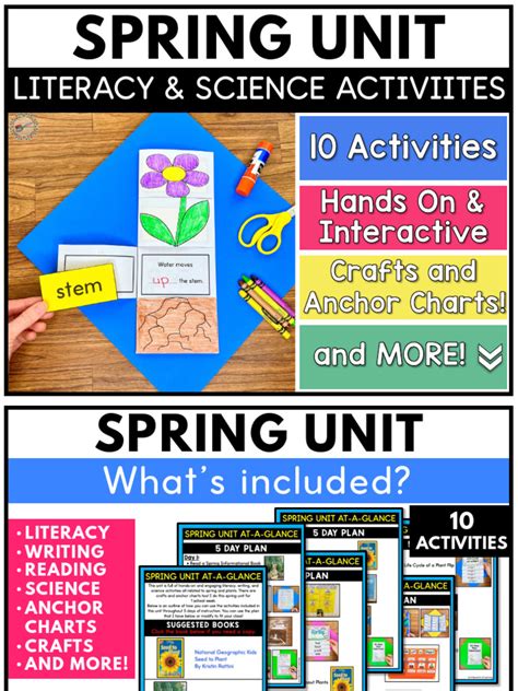 Image result for How to Set Up Spring Unit Tests