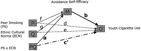Image result for Moderation Path Example