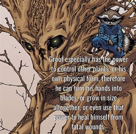 Image result for Groot Information