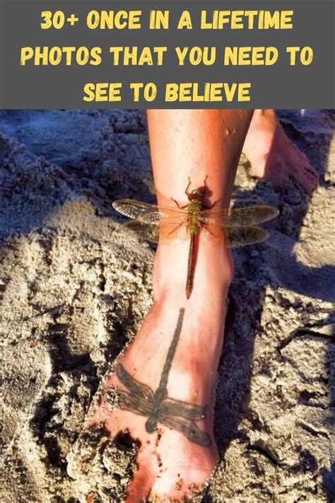 Image result for Do Dat Look Real