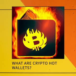 Image result for Hot Wind Key Wallet