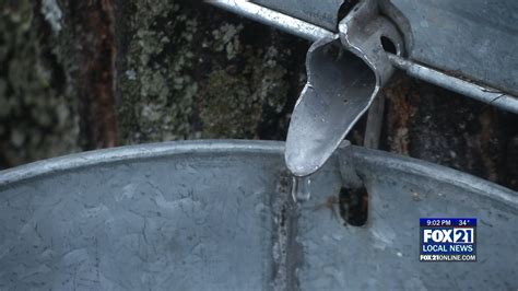 Image result for Maple Syrup Making Process Video