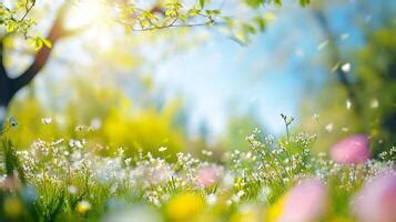 Image result for Spring Background High Resolution
