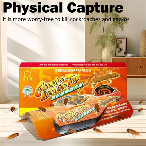 Image result for Cockroach Lizard Trap