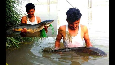 Image result for Snakehead Fish Hunting