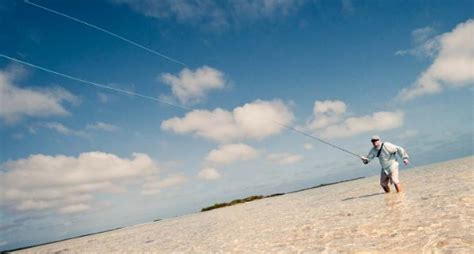 Image result for Casting Tips